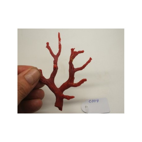 CORAL RED MEDITERRANEAN